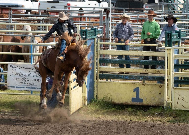 Tsáá? Ché Ne Dane Culture - Doig River First Nation