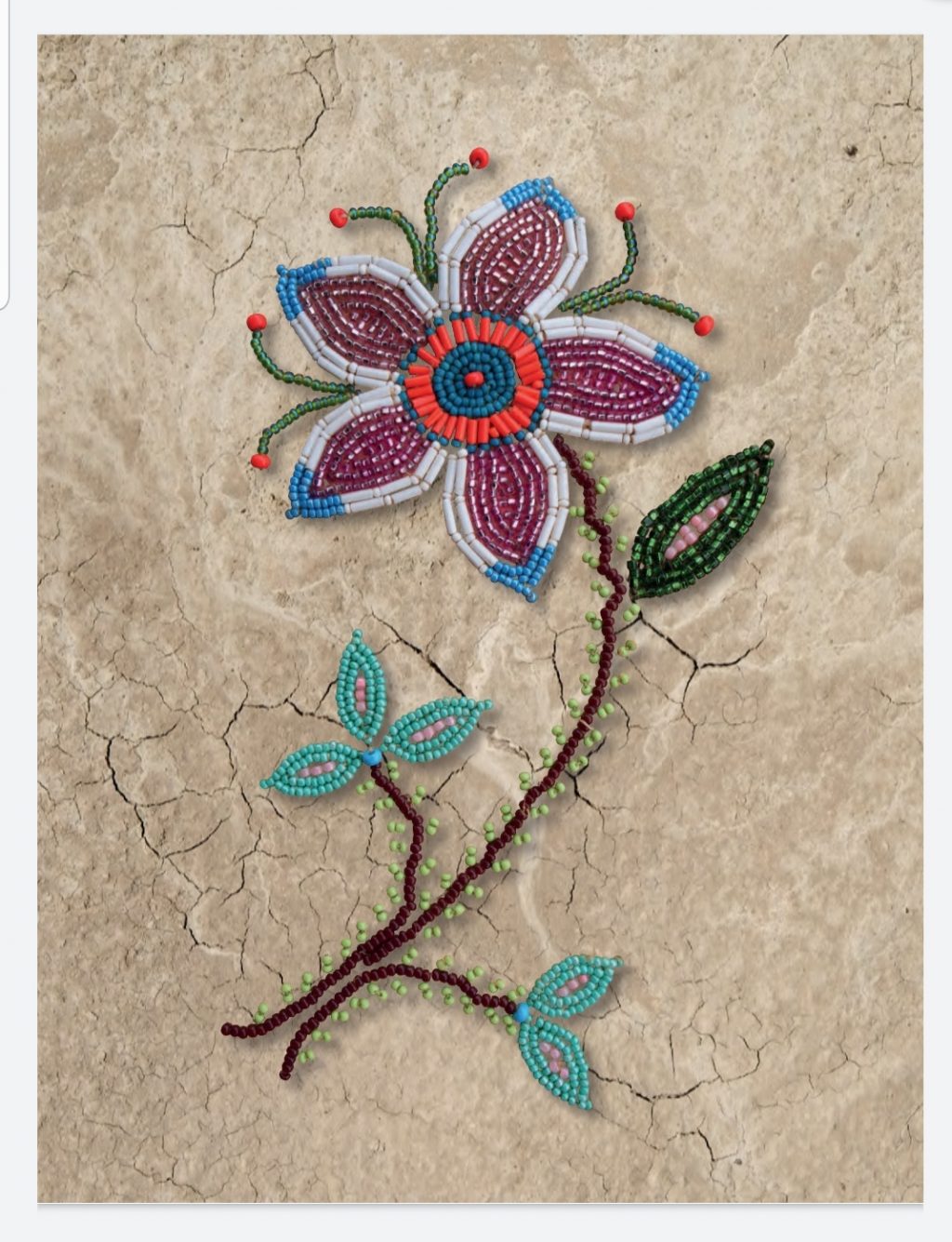 Our History - Doig River First Nation