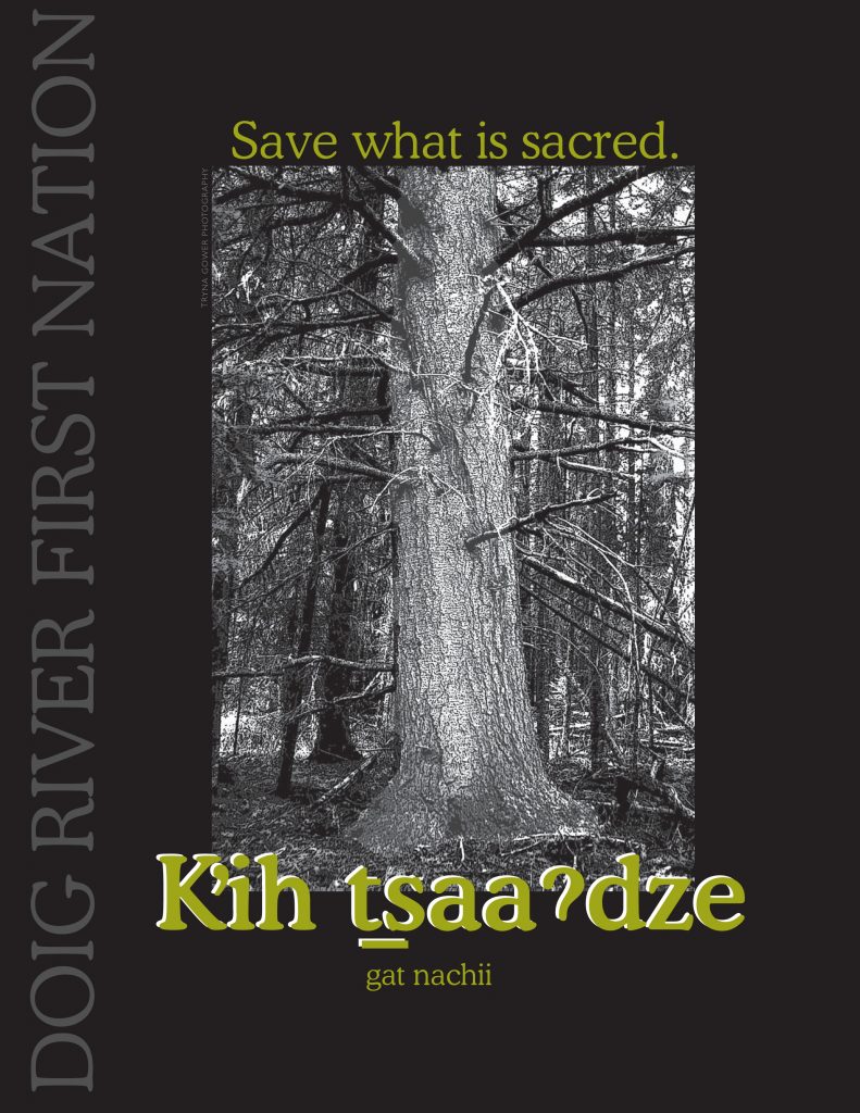 TLE Timeline - Doig River First Nation